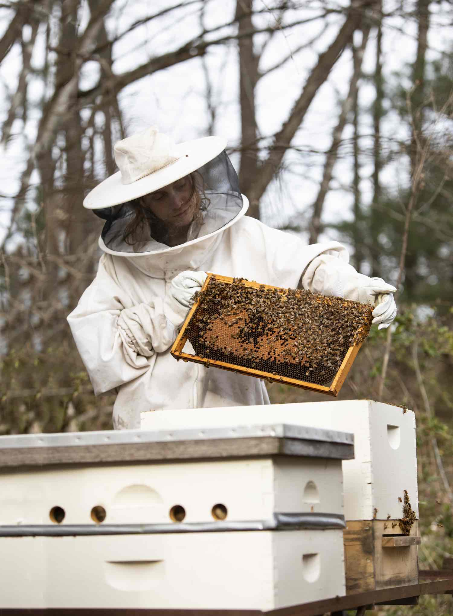Pollination Nation | Spring 2019 | Edible Asheville