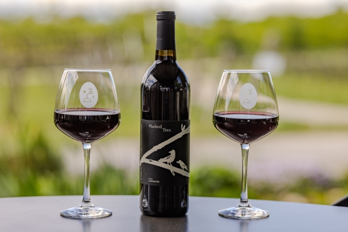 A Marked Tree Shows the Way | Spring 2025 | Edible Asheville